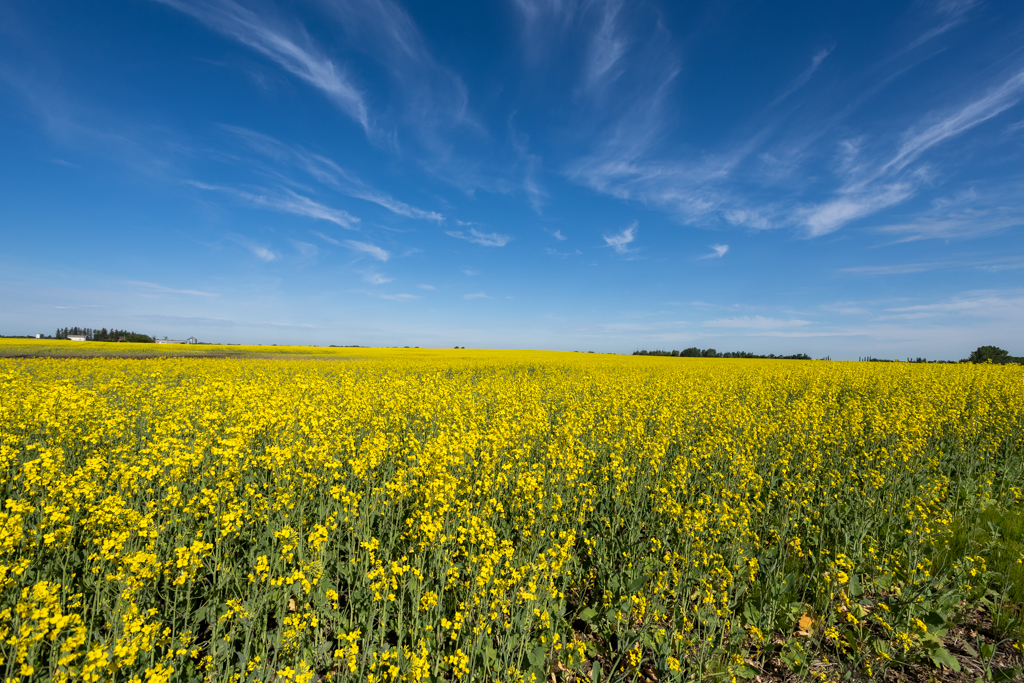 Agribusiness and Agritourism Review Task Force | Agribusiness and ...