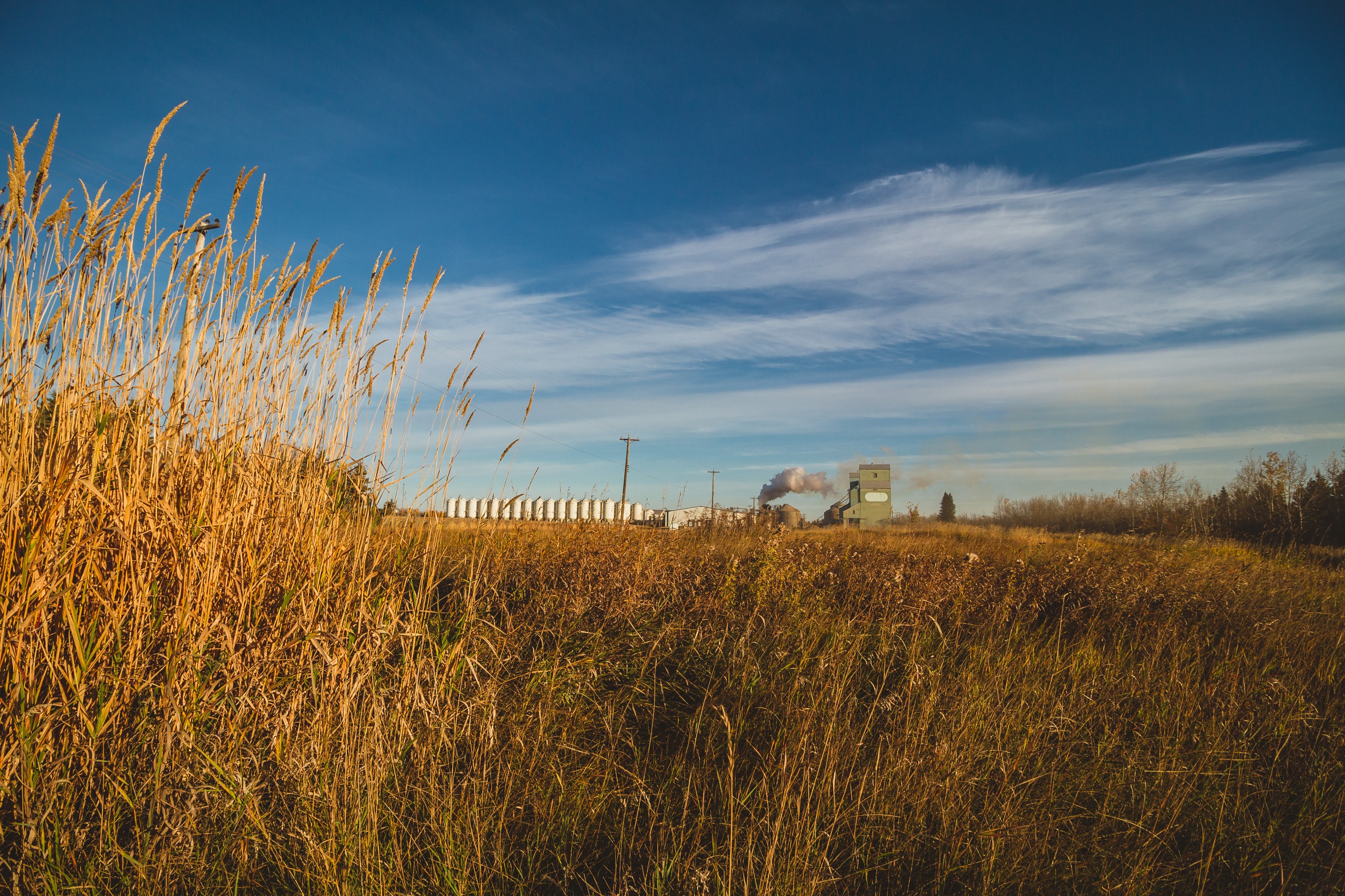 Legal Crossroads ASP